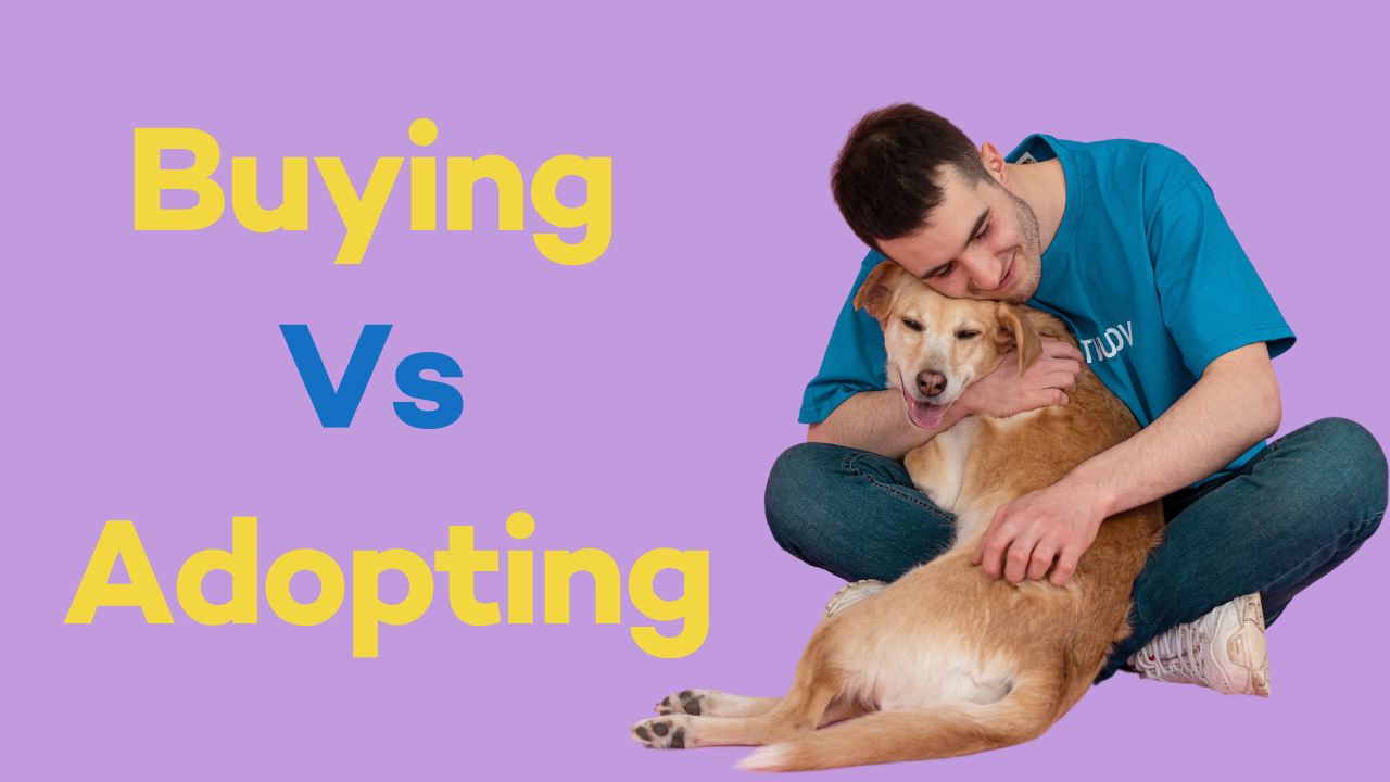 Adopting vs Buying a Pup in India! Choosing bet..